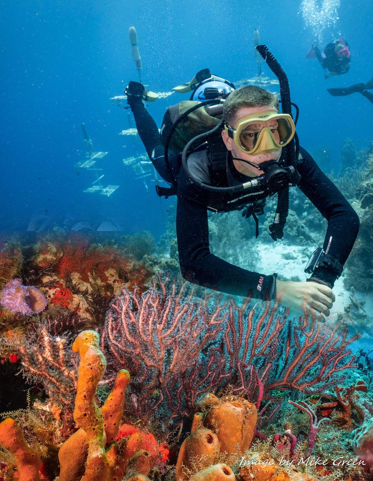 Charter Inquiry Form - Ocean Quest Scuba